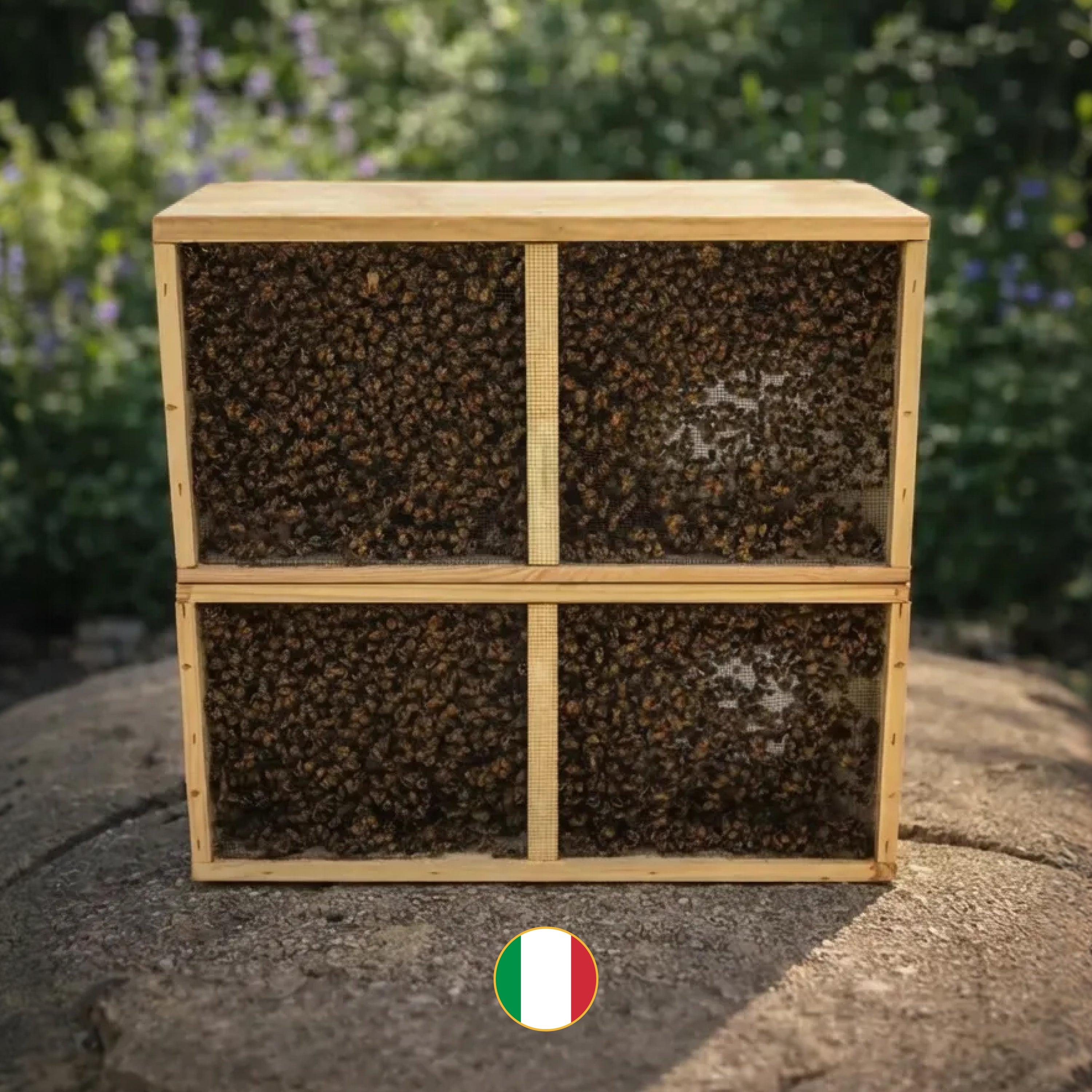 Hive365™ Premium Insulated Beehive - Double Deep Kit – HillCo, LLC