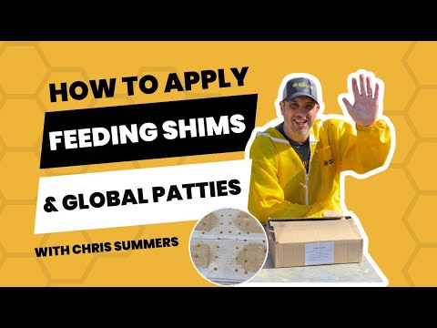 Pollen Patties - with real pollen and Apis Biologix "Rocket Fuel"