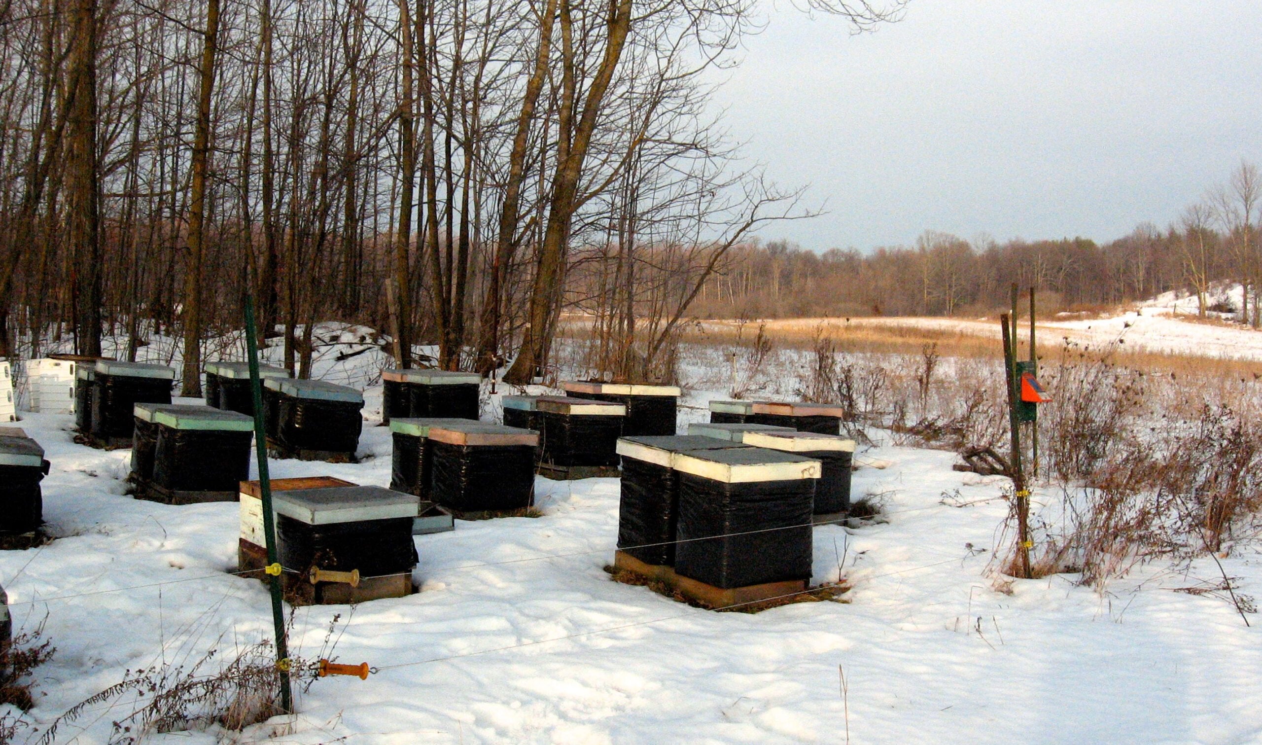 Bee Cozy Winter Hive Wraps | HillCo LLC – HillCo, LLC