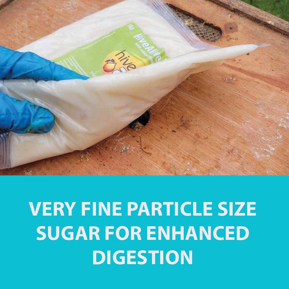 Hive Alive Fondant Patty - Winter Feed - HillCo, LLC